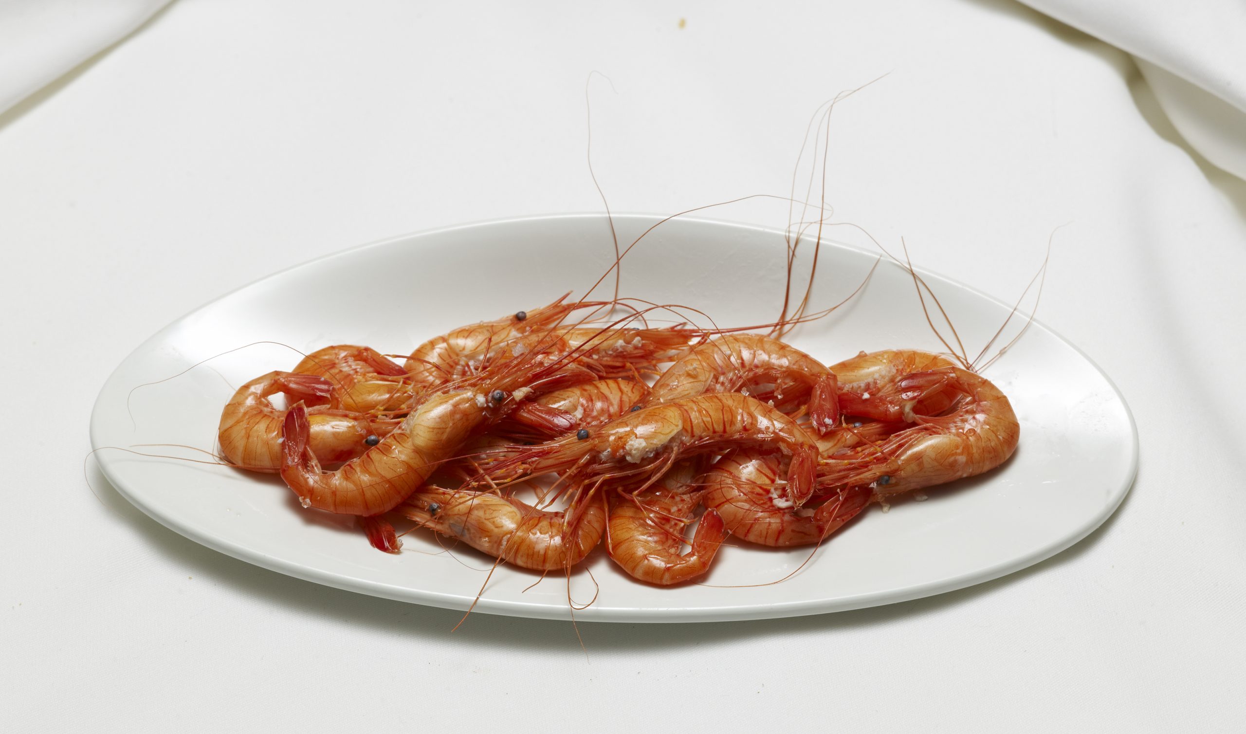 Todo sobre el camarón - Círculo Marisquería